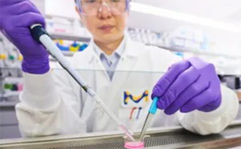 Fournisseur Merck - Sigma Aldrich - produits chimiques